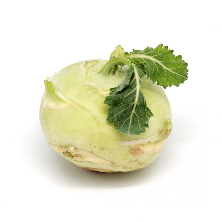 Les choux raves - Serres de la Guittière